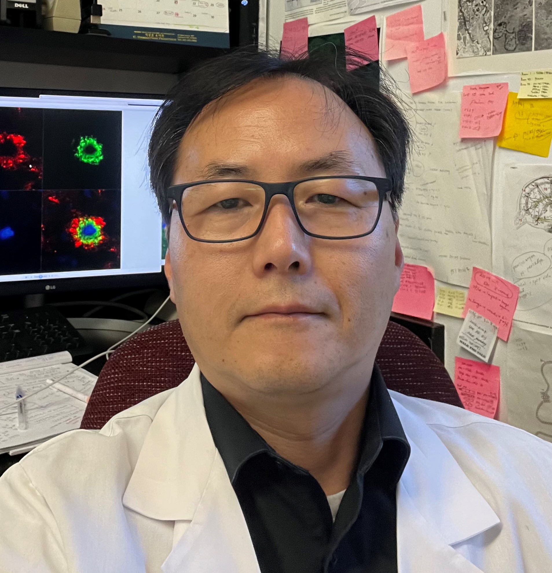 Ju-Hyun Lee, Ph.D. - The Nathan Kline Institute for Psychiatric Research